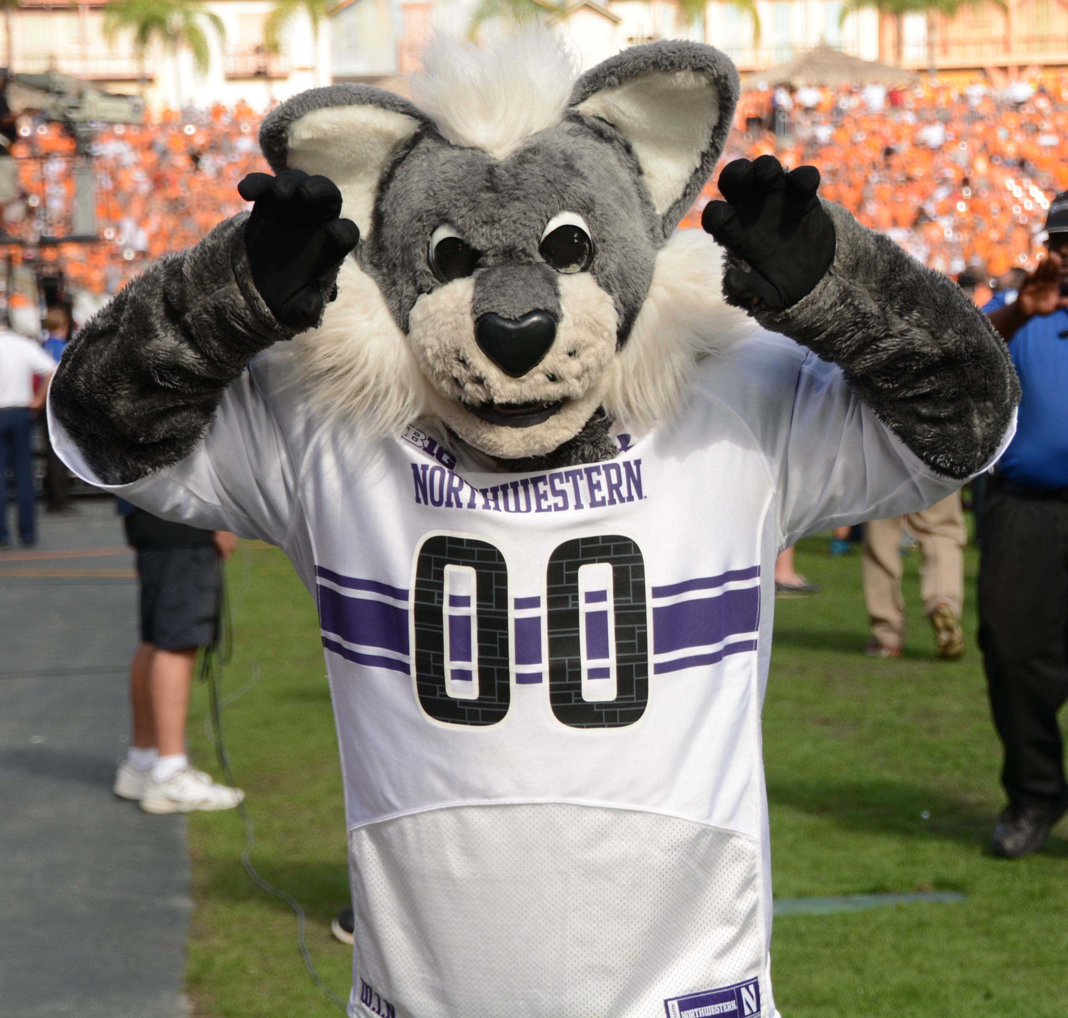 HOP_2778 Northwestern mascot – Rocket Sports & Entertainment Network